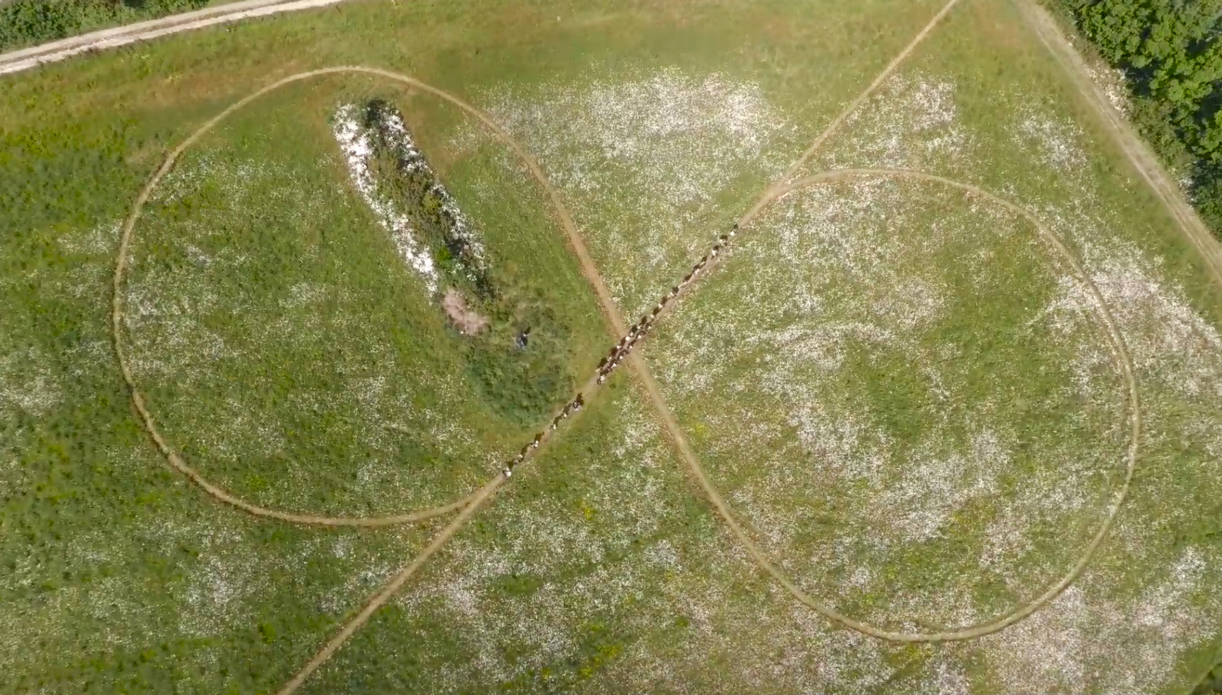 art cornwall webprojects