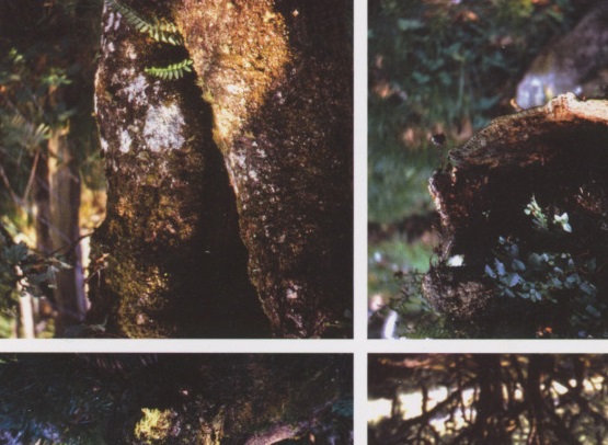 art cornwall webprojects